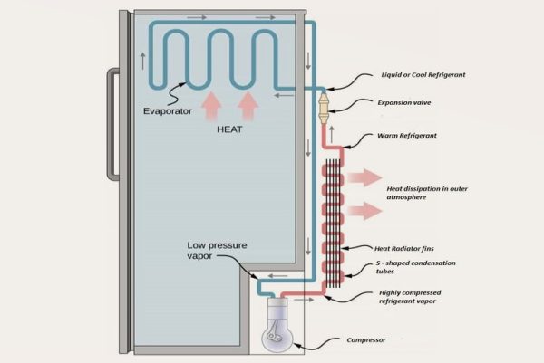 How does Smart Refrigerator work? - Elex Explorer