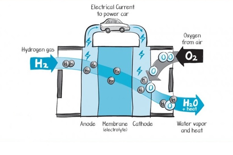 How Does Fuel Cell Work Elex Explorer How Does Fuel Cell Work Elex Explorer
